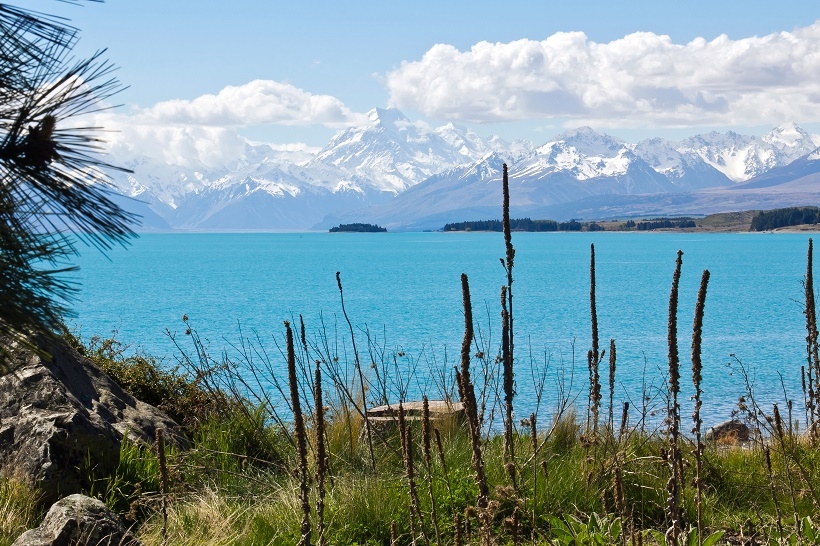 Mount Cook and Glamping with the Stars - Wander with Laura